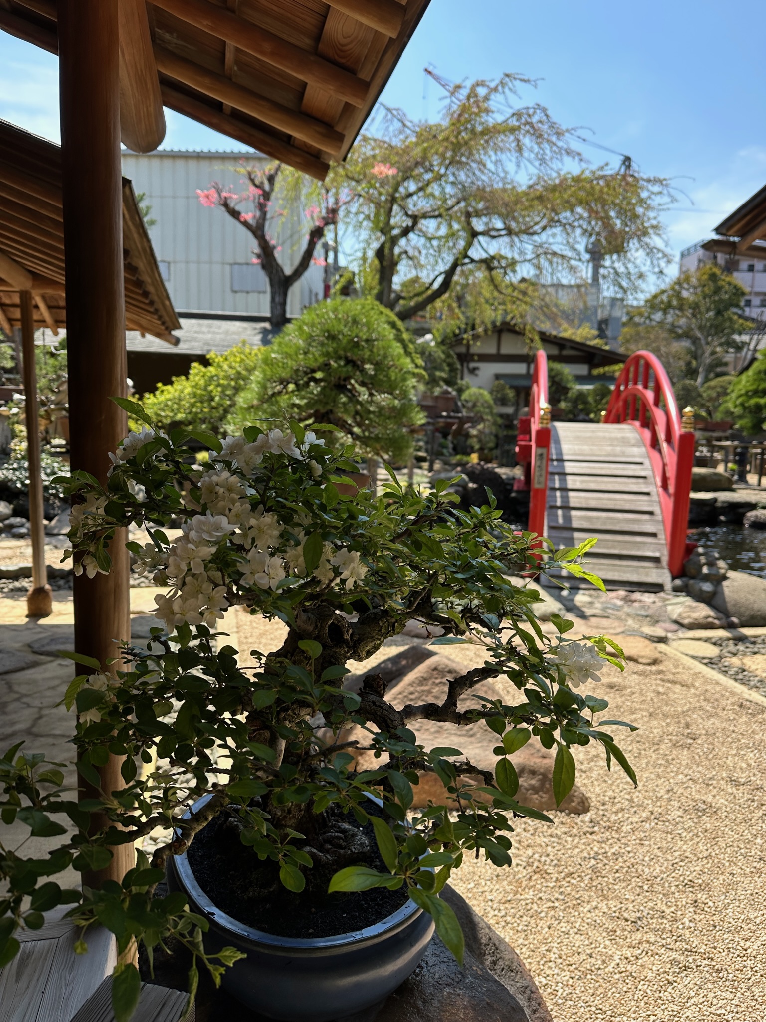 RNL TOURS - Travel to Japan with ALOHA