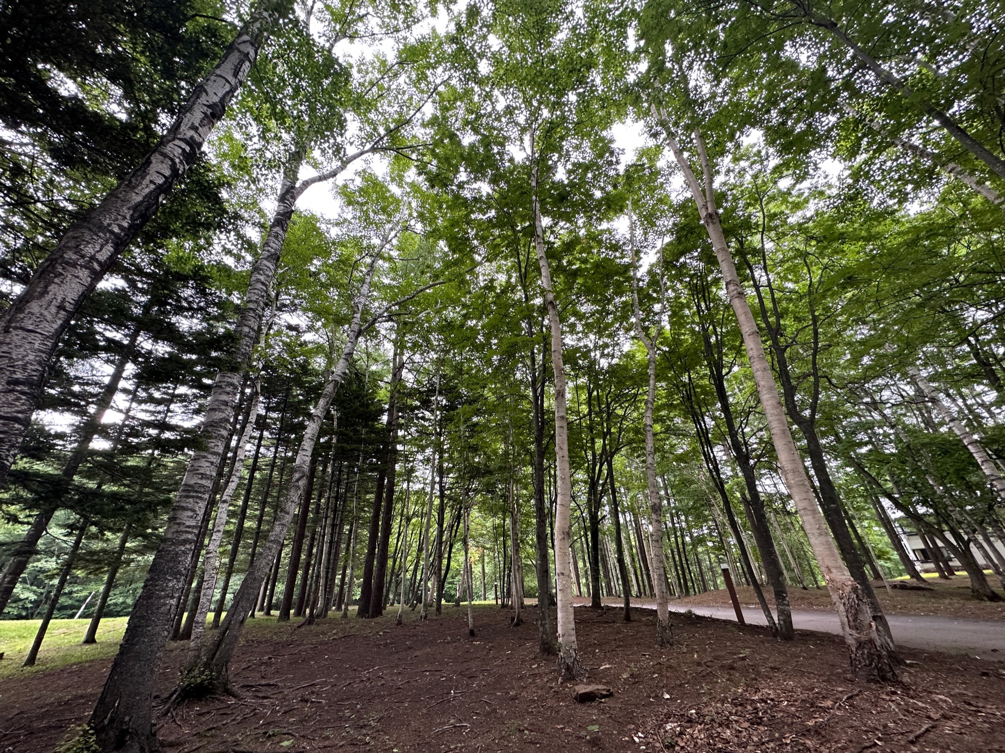 RNL TOURS - Travel to Japan with ALOHA